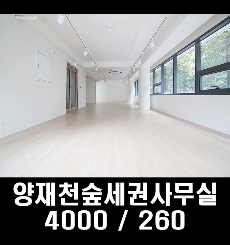 서초구소호임대 서울숲세권사무실 양재동주변분위기좋은오피스매물 시민의숲2층상가 채광좋은쇼룸 네이버 블로그