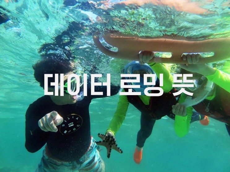 데이터 로밍 뜻 유플러스 안심로밍 3천원 필리핀 해외로밍가격 네이버 블로그