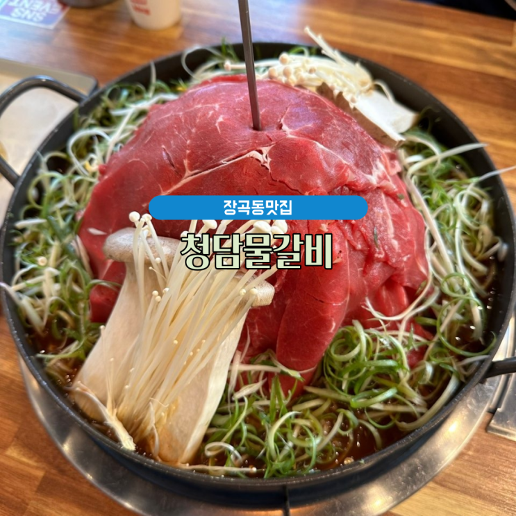 장곡동맛집 시흥시청역맛집 매콤한 산더미 물갈비가 맛있었던 청담물갈비 장현점 네이버 블로그