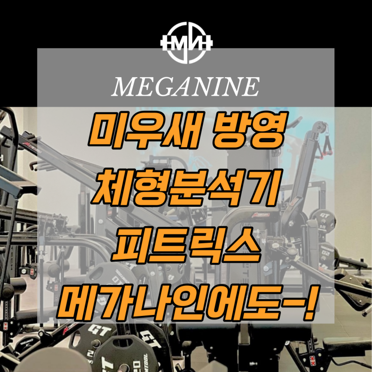 [하남헬스/미사헬스/미사pt/하남pt/메가나인피트니스] 미우새 방영된 체형분석기 피트릭스, 메가나인에도-! : 네이버 블로그