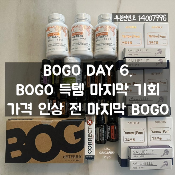 BOGO DAY 6. BOGO 아이템 마지막 기회! : 네이버 블로그