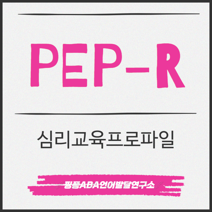 [위례/평택 핑퐁ABA]PEP-R 심리교육프로파일 : 네이버 블로그