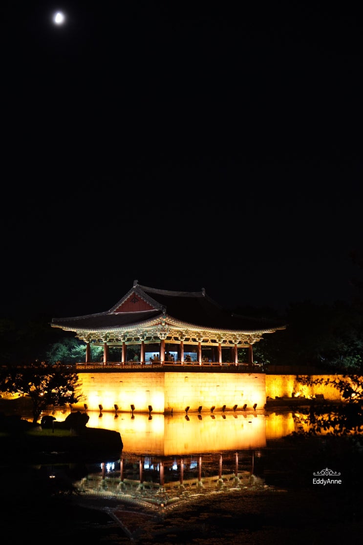 경주 동궁과 월지 야경 관람시간 주차장 입장료 구안압지 네이버 블로그