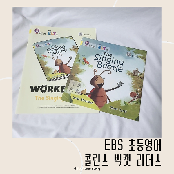 초2 영어 EBS 교재 콜린스 빅캣으로 엄마표 홈스쿨링 도전 : 네이버 블로그