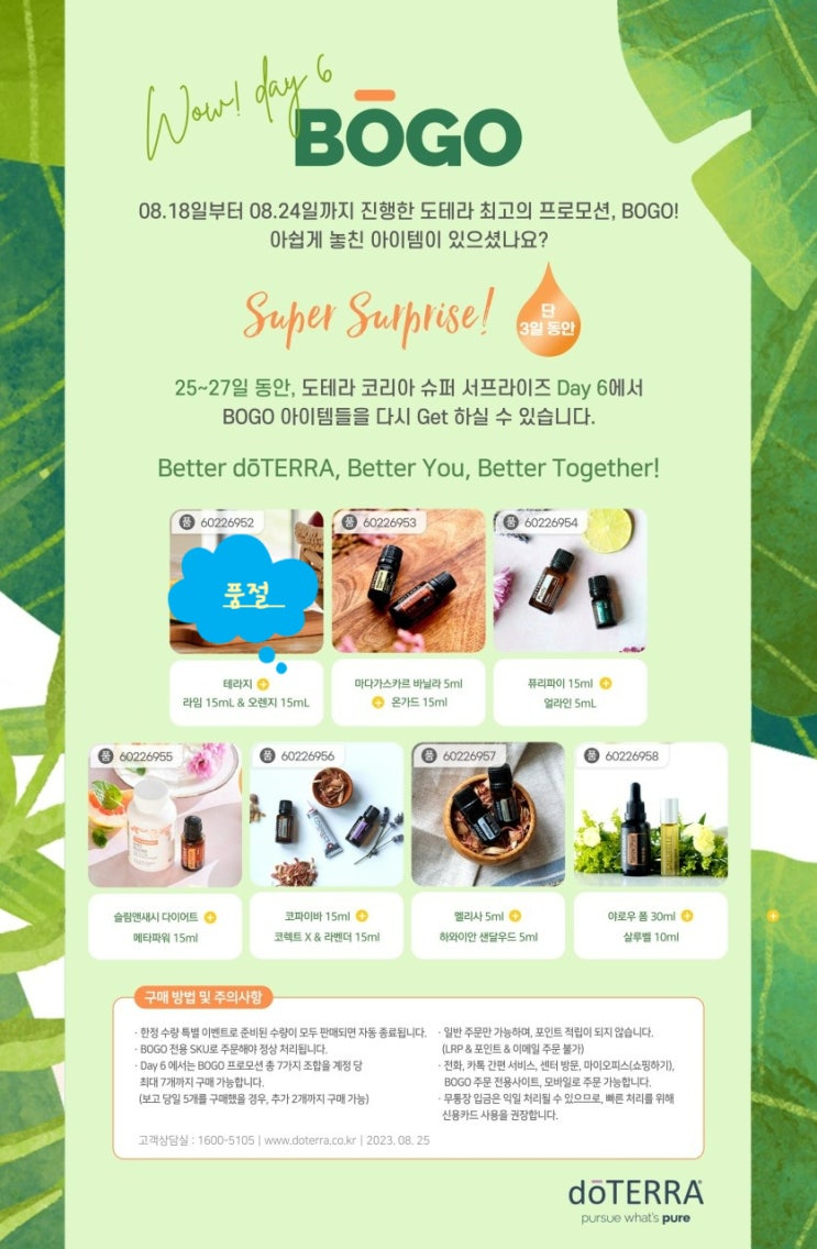 [도테라오일]보고프로모션 / BOGO ALL : 네이버 블로그