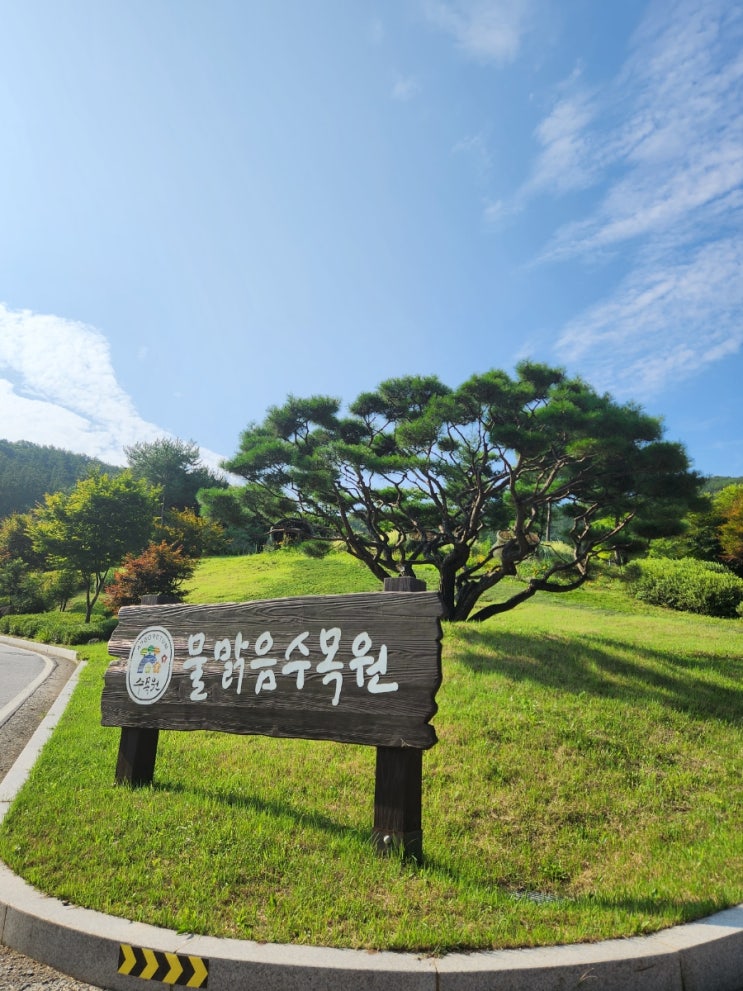 건강한다이어트 근처 수목원 힐링장소 경기도 남양주 물맑음수목원 맨발걷기 운동 산책하기 좋은곳 추천 네이버 블로그