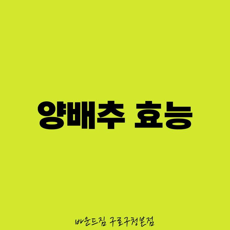 양배추 효능 구로구청헬스 구로구청pt 구로헬스 구로헬스장 네이버 블로그