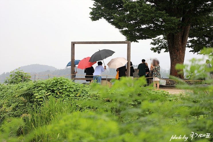 서울근교 당일치기 여행 양평 두물머리 네이버 블로그