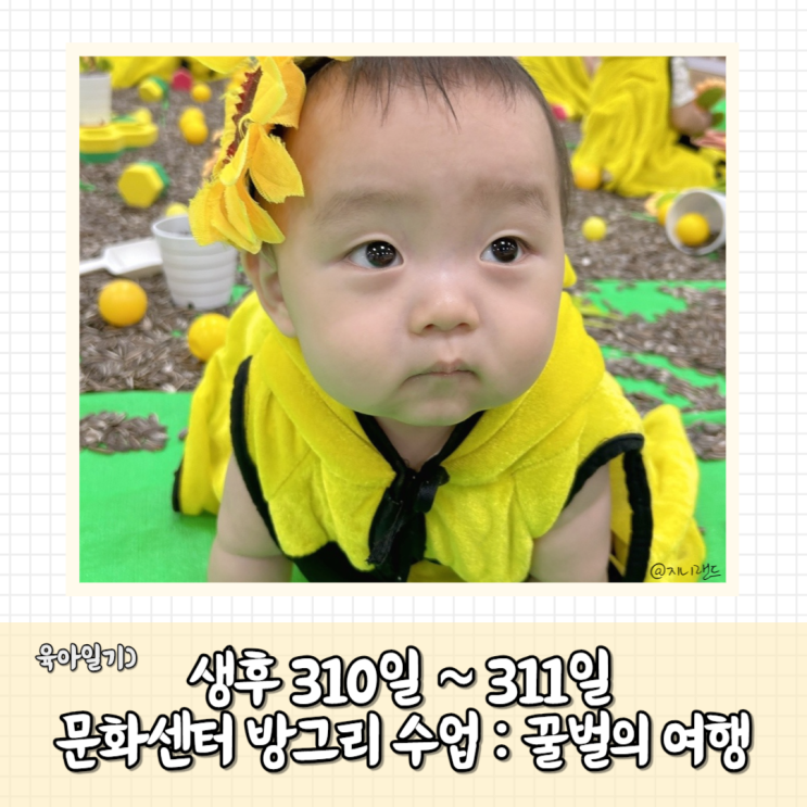 육아일기 생후310일~311일 문화센터 방그리 수업 꿀벌의 여행 네이버 블로그