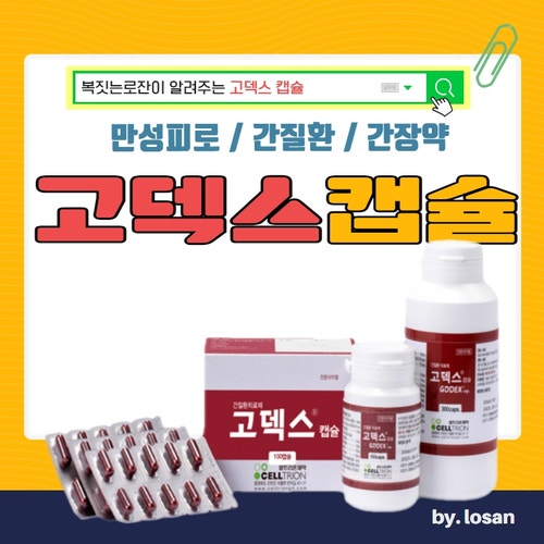 셀트리온 간장약 고덱스캡슐 가격 효능 만성피로 간질환 복용법 부작용 네이버 블로그