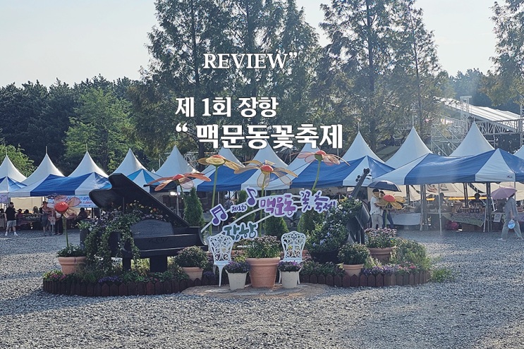 서천 맥문동축제 장항 송림산림욕장 꽃축제 주차팁 음식 체험 다양한 볼거리 네이버 블로그