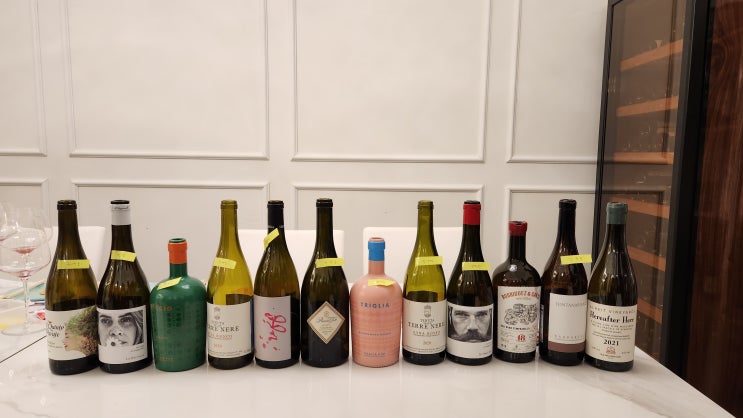 2023.3월 - 8월 / 약 6개월간의 루나 피에나 vvip wine class 수강 후기 / 포항 와인 클래스 : 네이버 블로그