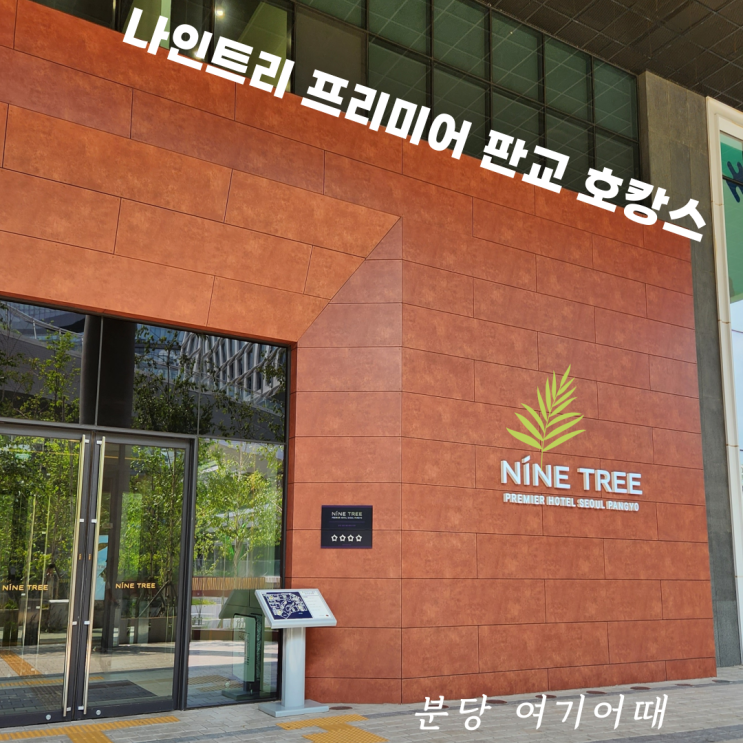 나인트리 프리미어 판교 스탠다드 트윈 샵백 추천인 경기도 4성급 호텔 호캉스 조식가격 수영장헬스장 어메니티 내돈내산