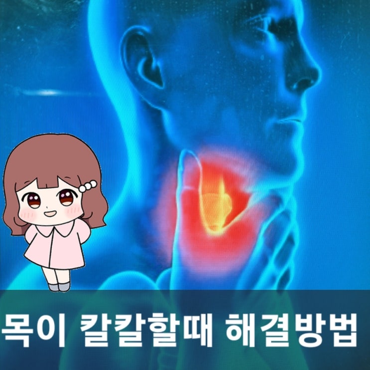목이 간질간질 칼칼할 때 원인 해결 방법 네이버 블로그