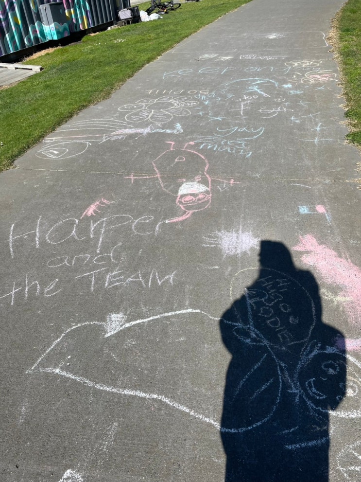 뉴질랜드 북섬, 네이피어(Napier) #2 : 네이버 블로그