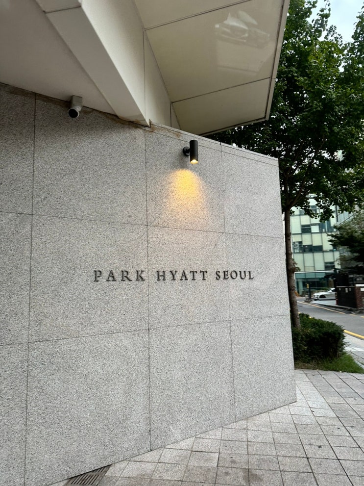 파크하얏트 서울 코너스톤 주말 디너 코스 이용후기남표니 생일 전야제 네이버 블로그