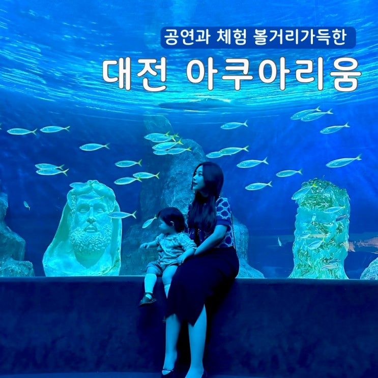 대전갈곳 엑스포 신세계백화점 아쿠아리움 실내 아기랑 가볼만한 곳 데이트코스로도 최고 네이버 블로그
