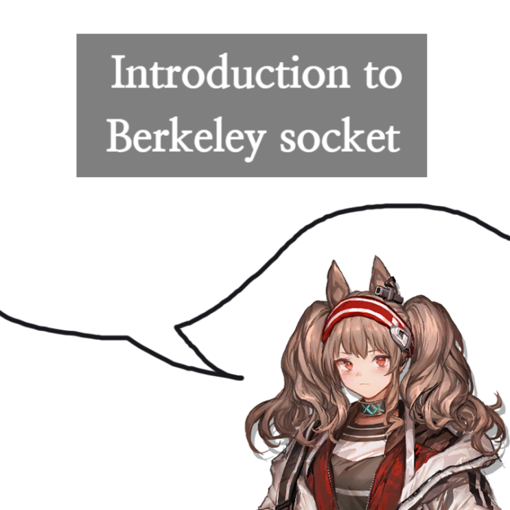 버클리 소켓(Berkeley socket) 이해 : 네이버 블로그