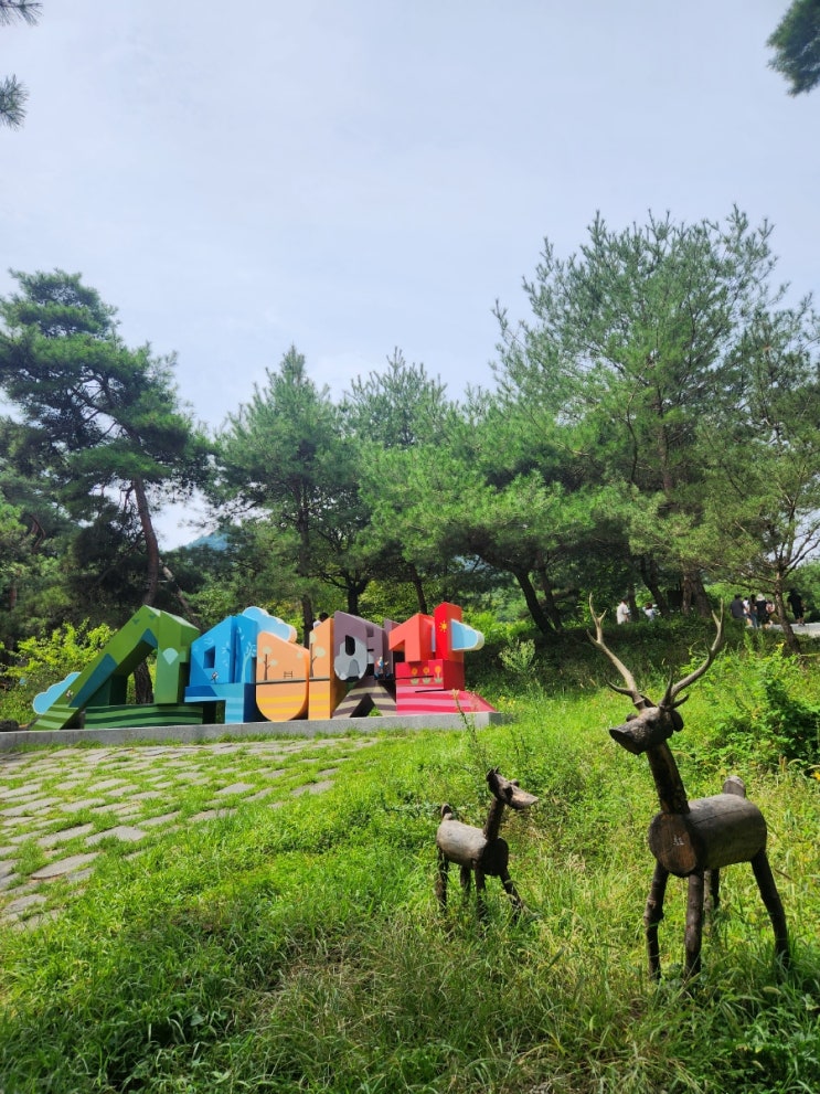 괴산 걷기 좋은 길 산막이옛길충청도 양반길 1코스 주차장~산막이마을~연하협구름다리 유람선 종류와 가격 모터보트