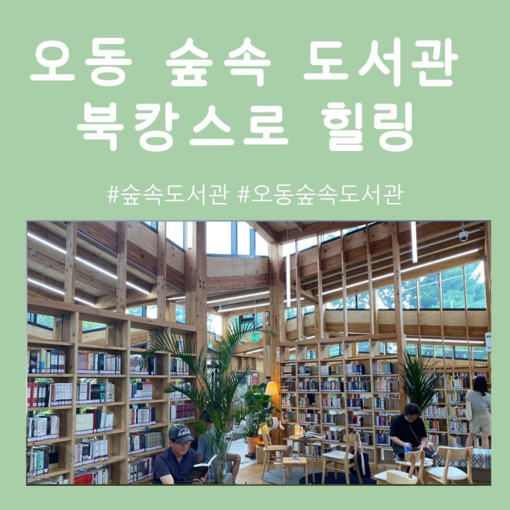 오동 숲속 도서관 서울 도심 한가운데 북캉스하기 좋은 곳 네이버 블로그