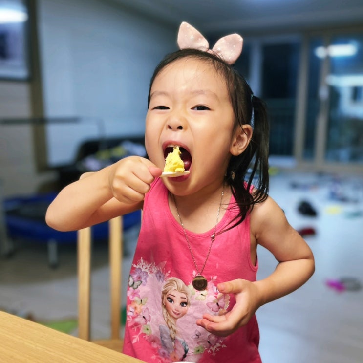 유기농 아이스크림 떼르드글라스 유아간식 추천 네이버 블로그