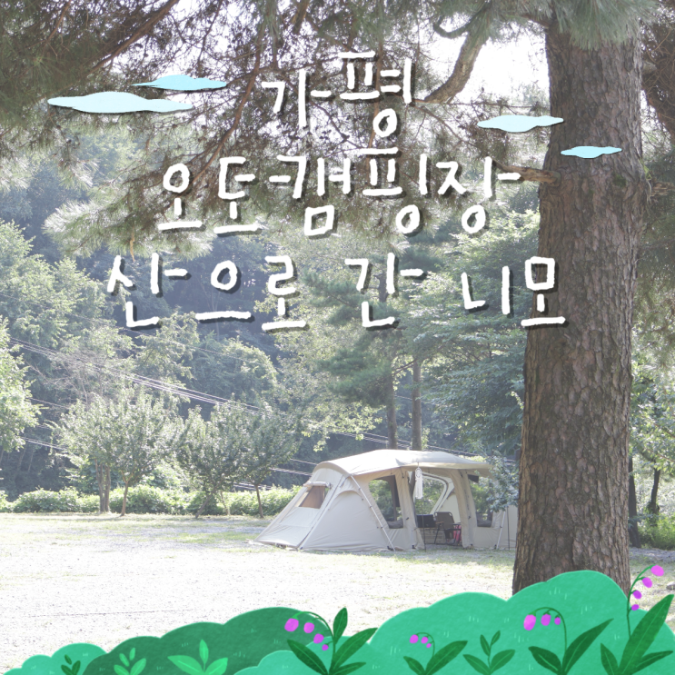 가평 오토캠핑장 산으로간니모 노스피크 아케디아 피칭 네이버 블로그