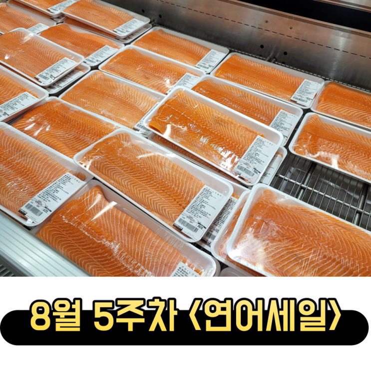코스트코 대전 오류점 8월 5주차다섯째주 세일 할인 행사 상품 정보 네이버 블로그