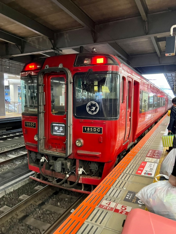 일본 후쿠오카 여행 🚊특급유후 기차타고 하카타에서 유후인으로특급유후 맨 앞자리 풍경특급유후 막차 탑승 네이버 블로그