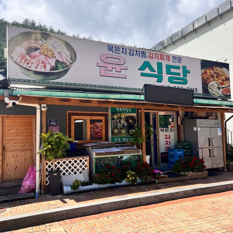 하이원리조트맛집 김치찜과 수육이 맛있는 로컬식당 윤식당 내돈내산후기 네이버 블로그
