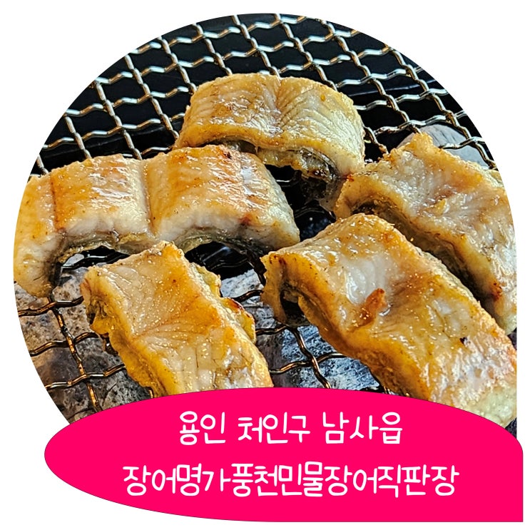 용인한화리조트맛집 용인 베잔송 맛집 장어명가풍천민물장어직판장 네이버 블로그