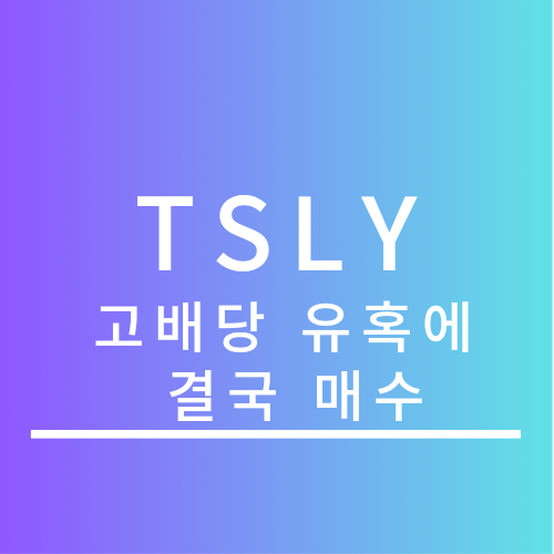TSLY ETF 9월 배당락일과 매수 현황 공개합니다. : 네이버 블로그
