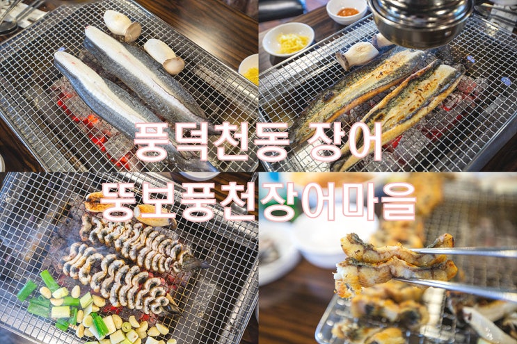 풍덕천동 장어 수지외식타운 뚱보풍천장어마을 네이버 블로그
