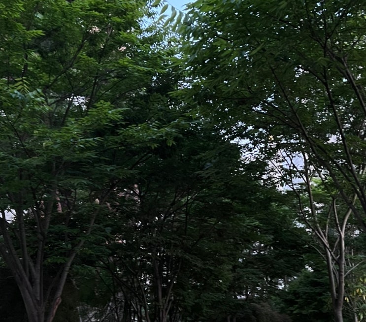 #21. 고객님이 직접 말아주신 블로그..🤭 : 네이버 블로그