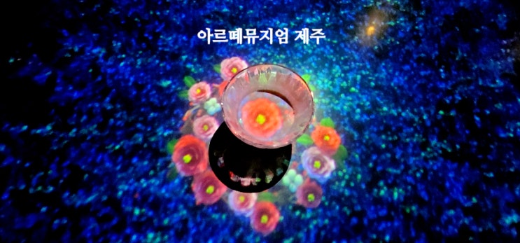 제주도 애월 아르떼뮤지엄 제주 도민할인 가격 입장료 티바 예약 관람시간 주차 비오는날 실내 관광지 후기 네이버 블로그