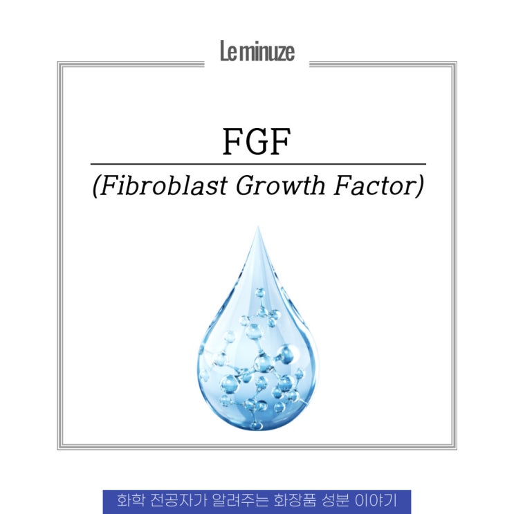 FGF(Fibroblast Growth Factor) 화장품 원료 성분 분석 : 네이버 블로그