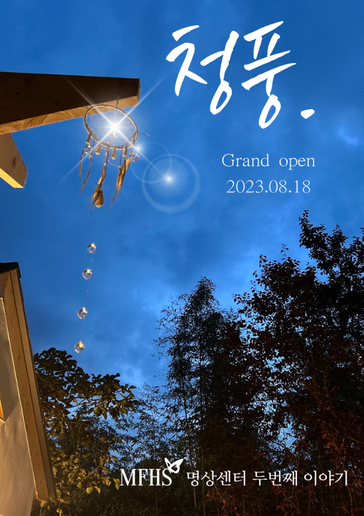 MFHS 명상센터 두번째 이야기‘청풍; 태초의 숲’ : 네이버 블로그