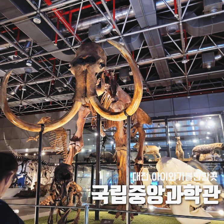 대전 국립중앙과학관 아이와 가볼만한곳 과학기술관 자연사관 관람 후기 예약 없이 즐겨요 네이버 블로그