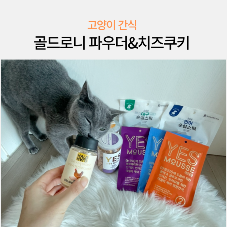 고양이간식 할로할로 파우더 칼슘쑥숙 강아지쿠키 급여 후기 F 골드로니 네이버 블로그