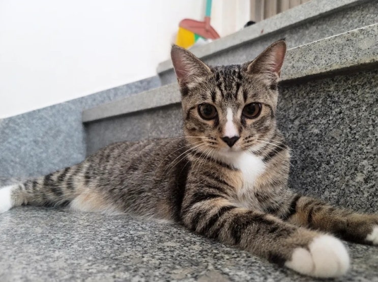 230829 일상 : 네이버 블로그