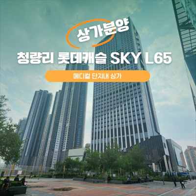 청량리역 롯데캐슬 sky L65 주상복합 단지내 상가분양 : 네이버 블로그