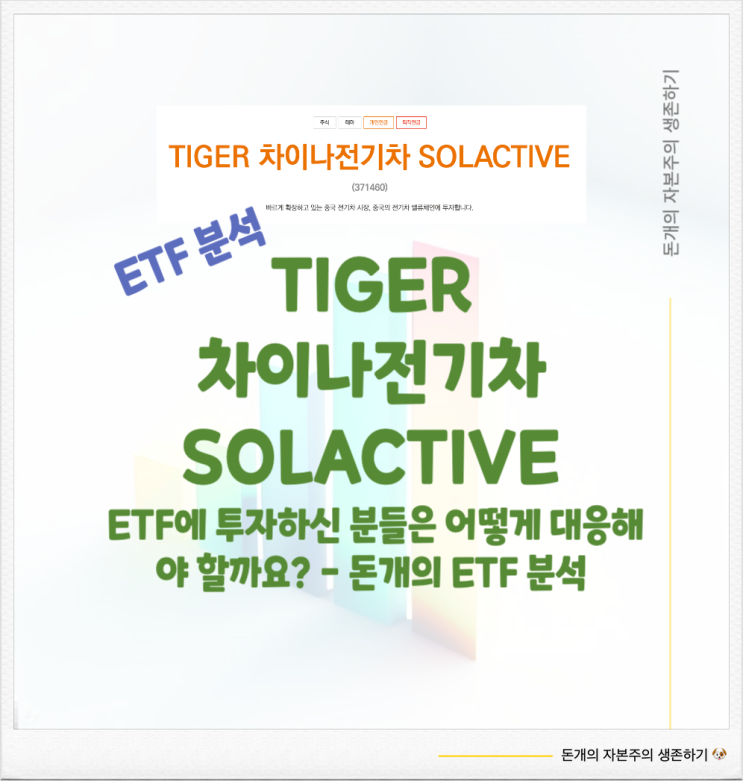 TIGER 차이나전기차SOLACTIVE ETF에 투자하신 분들은 어떻게 대응해야 할까요? - 돈개의 ETF 분석 😥 : 네이버 블로그
