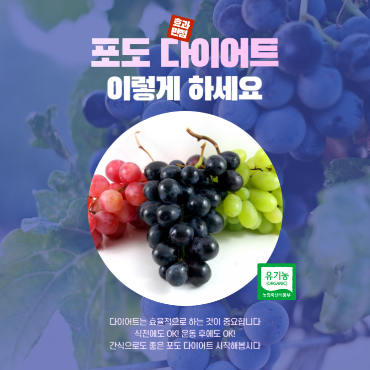 포도 다이어트 효과 방법 주의점 부작용 칼로리 네이버 블로그