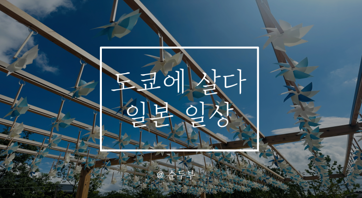 일본 도쿄 일상생활 도쿄 근교 가와고에 당일치기 여행 잡화점 구경 카페 빙수 먹기 옛날 과자 거리 산책 세이부