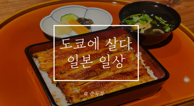 일본도쿄 일상 도쿄 근교 가와고에 당일치기 여행 장어 우나기 덮밥 우나쥬 맛집 덴베うなぎ傳米 동구리 공화국 지브리