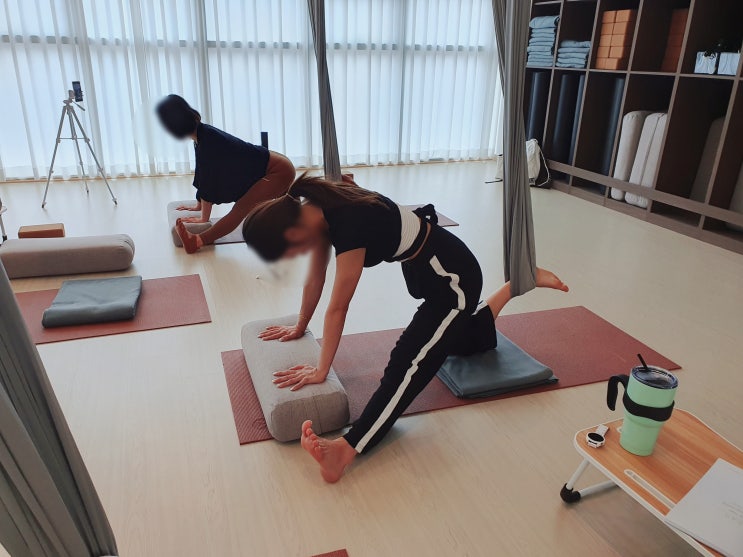 임산부 요가 자격증 후기 네이버 블로그