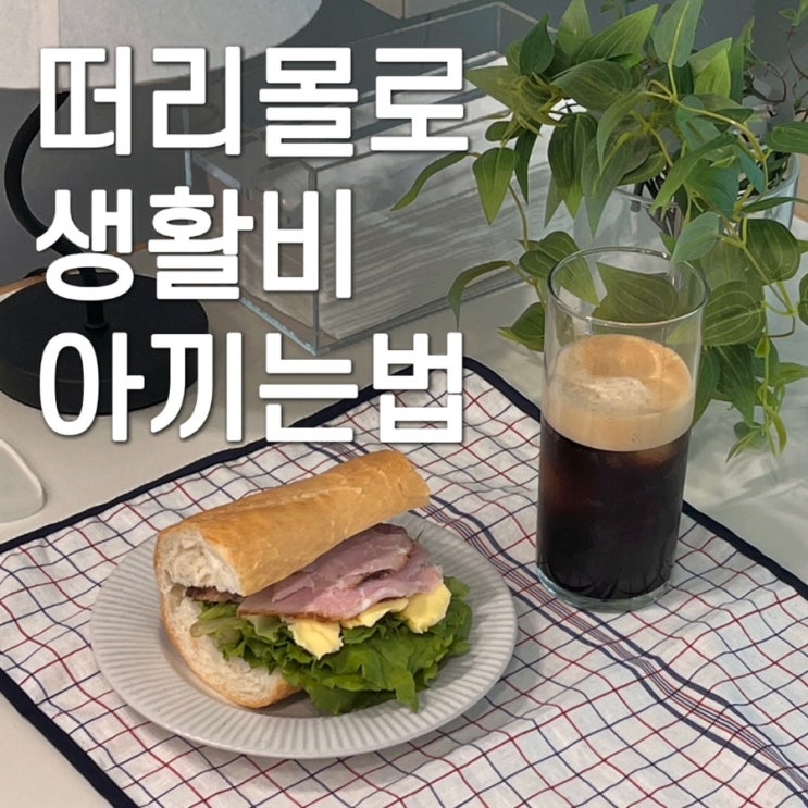 떠리몰로 생활비 아끼는법 유통기한 임박상품 리퍼브샵 네이버 블로그