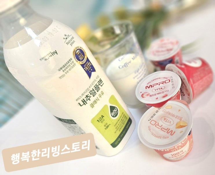 한국야쿠르트 Hy 내추럴플랜 우유 떠먹는 프로바이오틱스 엠프로비타 다섯가지 맛 추천 네이버 블로그