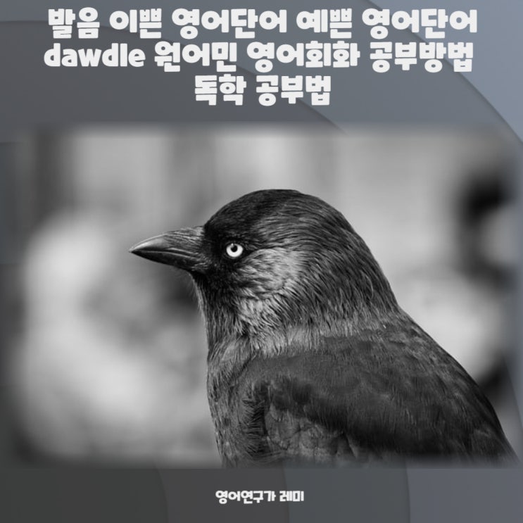 발음 이쁜 영어단어 예쁜 영어단어 dawdle 원어민 영어회화 공부방법 독학 공부법 : 네이버 블로그