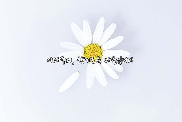 링컨의 소원 : 네이버 블로그