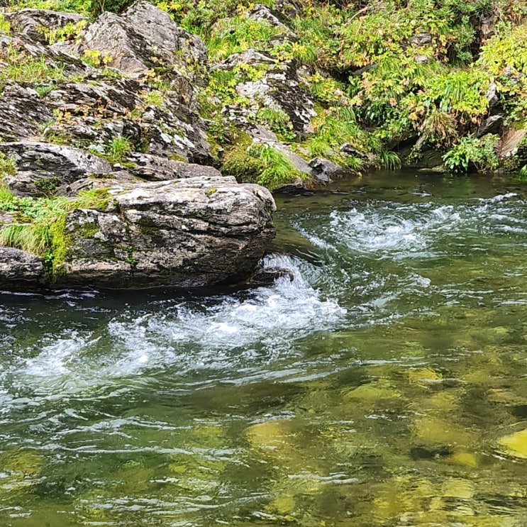 가평 일마레 펜션에서 계곡&바베큐 부수기 : 네이버 블로그